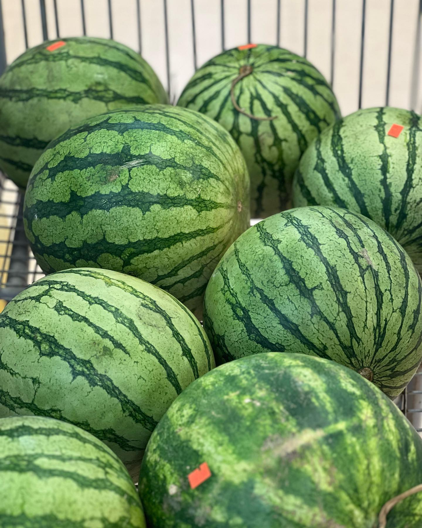 Watermelons - Kingsland Meats